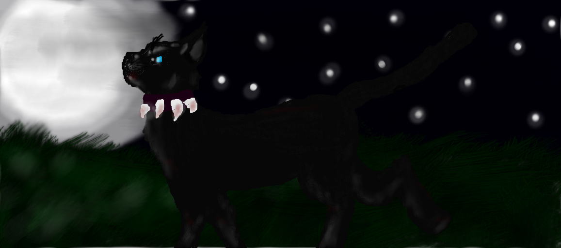 Epic scar pic by NinjaKitties7 on DeviantArt