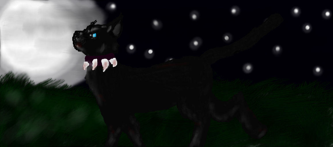 Epic scar pic by NinjaKitties7 on DeviantArt