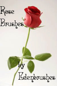 Eden's Roses by EdenBrushes on DeviantArt