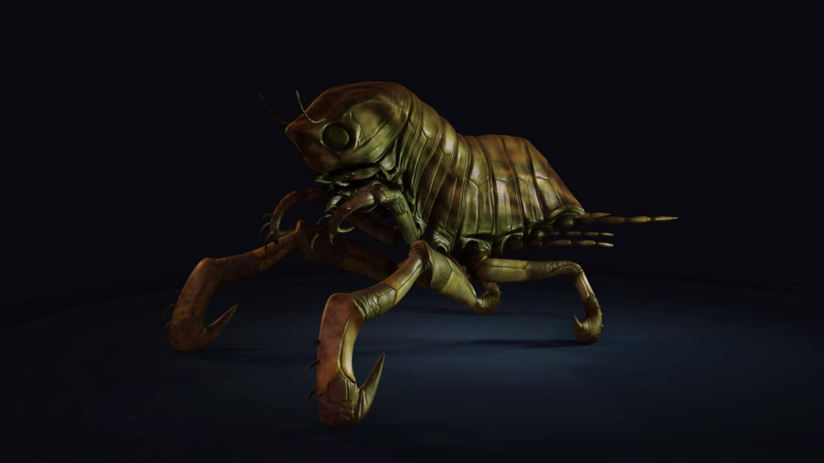 MONSTROSECT ANIMATION 2013 by danieljoelnewman on DeviantArt