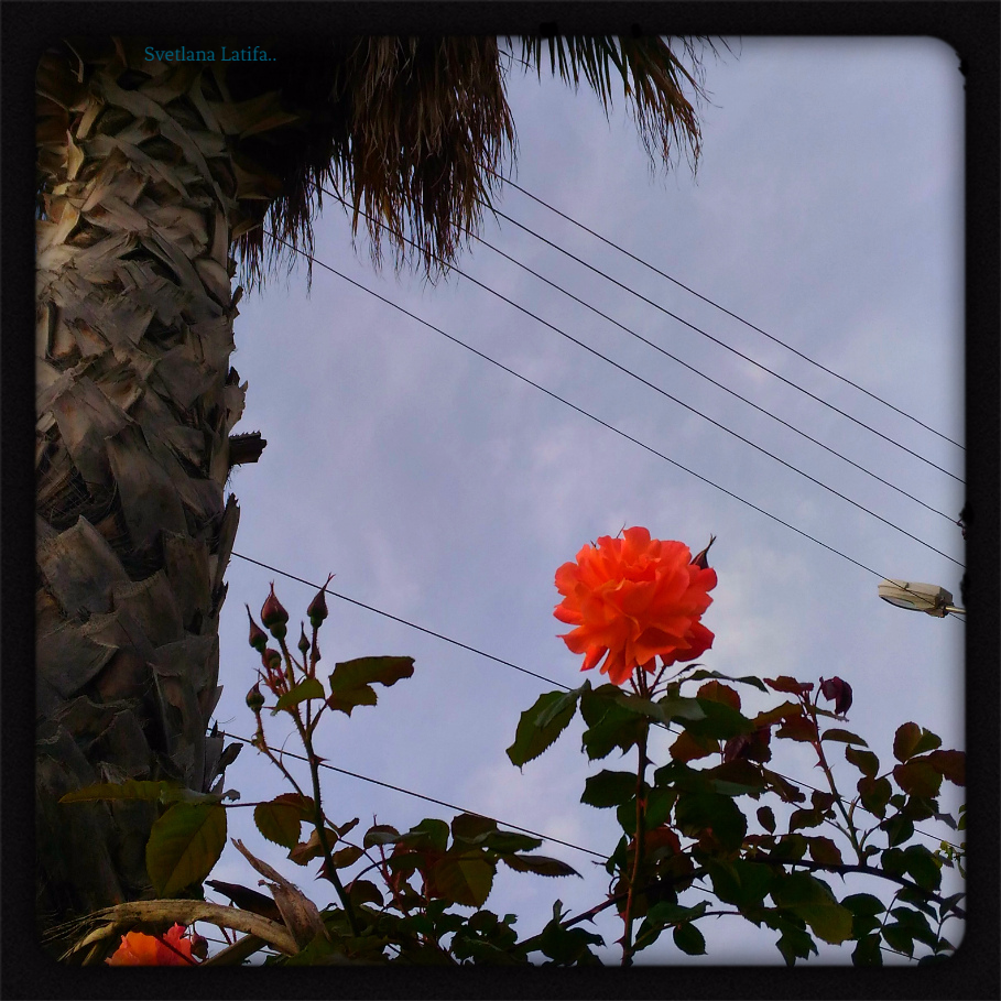 Untitled Drawing by Lada-777 on DeviantArt