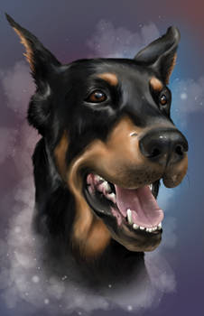 Explore the Best Hayden Art | DeviantArt