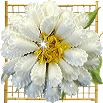 White Flower by KmyGraphic on DeviantArt