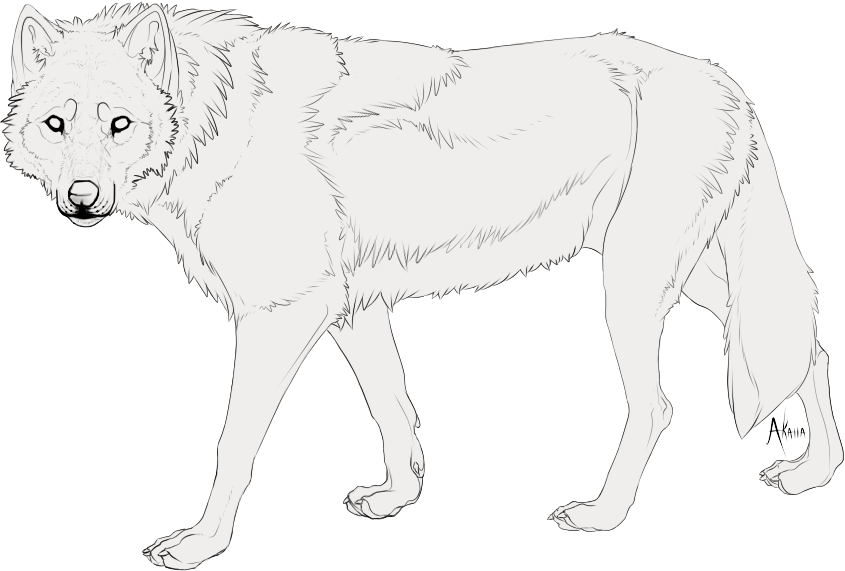 Free Wolf Lineart by Akaiia on DeviantArt