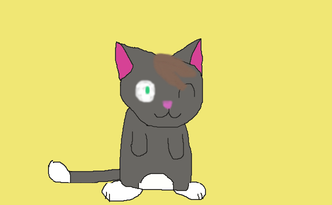 poppy the cat by xCommanderMustardx on DeviantArt