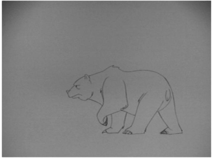 bear walk cycle by feegrita-007 on DeviantArt