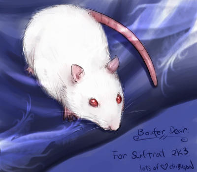 In loving memory of Boufer by chibigon on DeviantArt