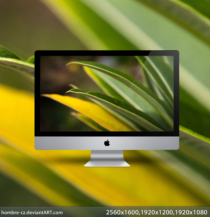 Leaf Wallpaper by hombre-cz on DeviantArt