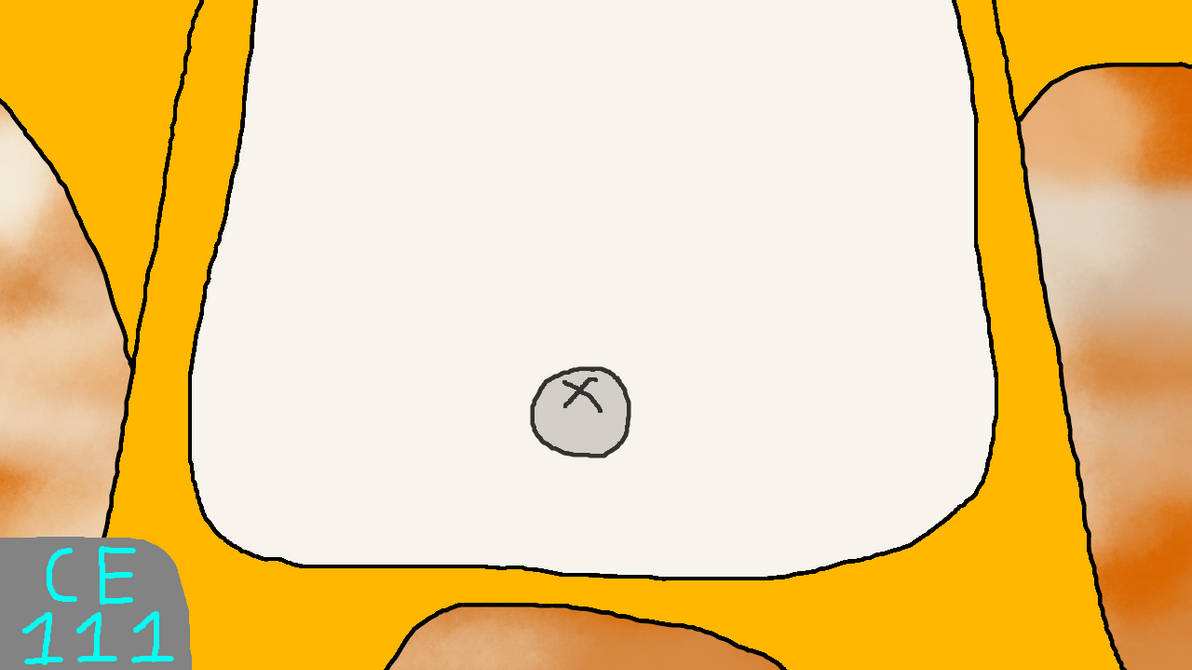 Tails Bellybutton Close Up By Cyanesque111 On Deviantart