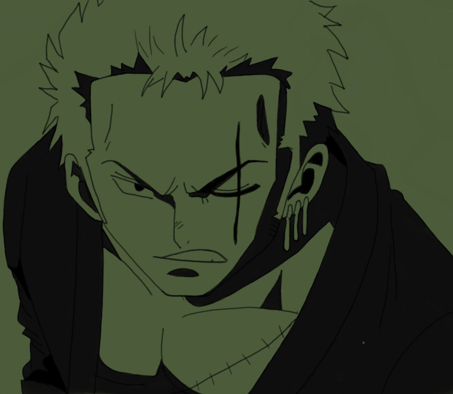 One Piece: Roronoa Zoro (Shadow Study) by MssNeko on DeviantArt