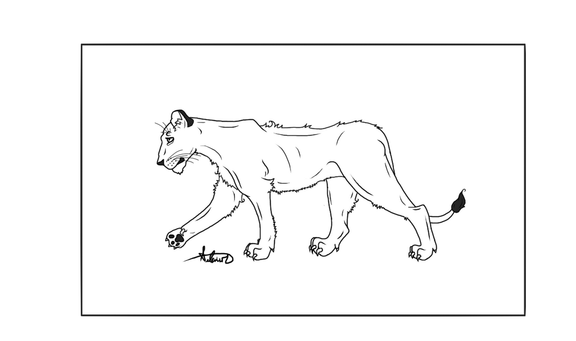 Lioness Lineart by Chatoyant11 on DeviantArt