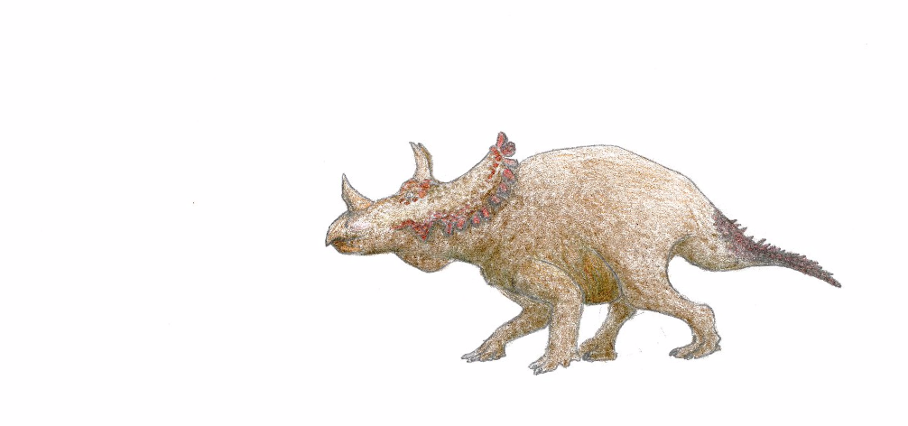 Tatankaceratops sacrisonorum by TheTerritorialTrike on DeviantArt