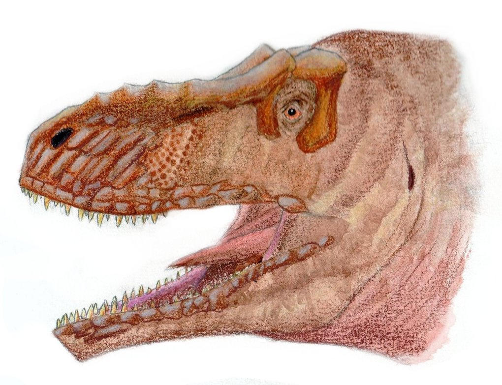 Tyrannosaurus rex Head by TheTerritorialTrike on DeviantArt