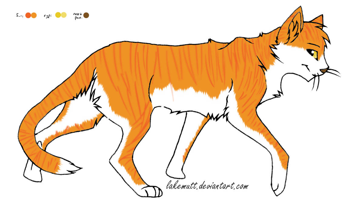 Shadowclaw request 2 by carrot-cat17 on DeviantArt