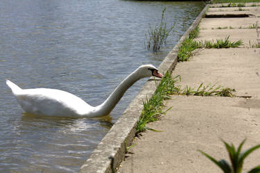 LJMV User Profile | DeviantArt