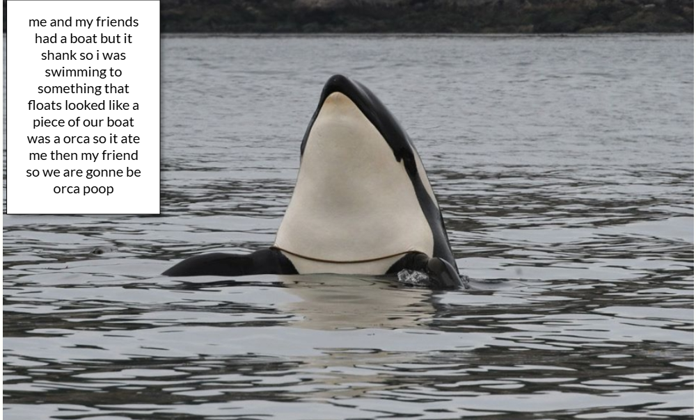 orca poop by unbirthmaker2 on DeviantArt