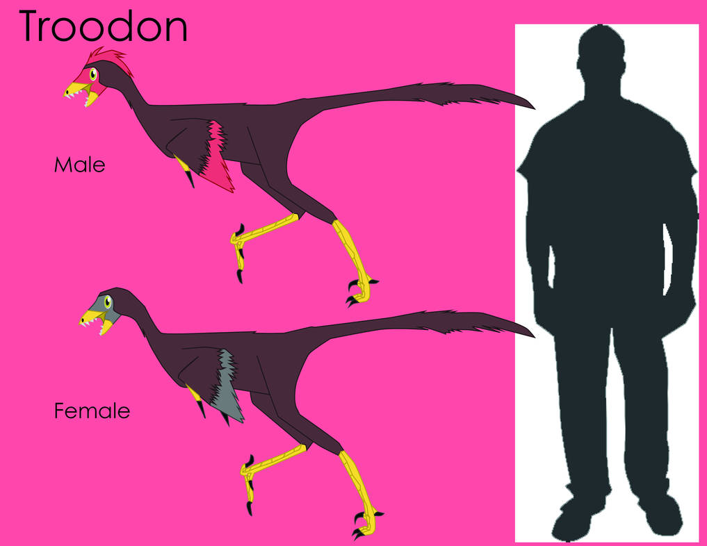Troodon Size Comparison by LouJunior on DeviantArt
