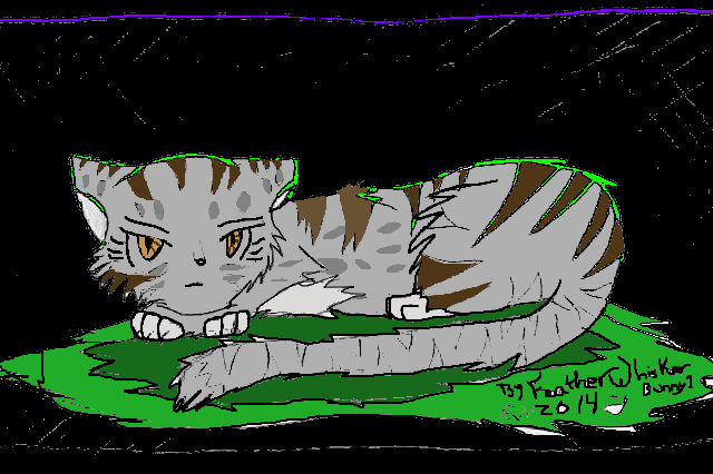 Featherwhisker: Warriors cat by Ghoststarx on DeviantArt