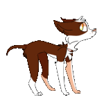 Fairybunny99 - Hobbyist, General Artist | DeviantArt