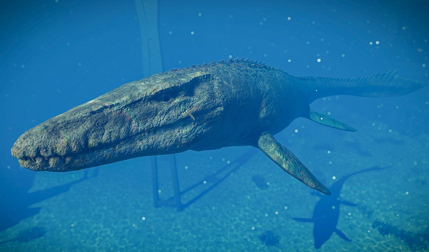 Mosasaurus High quality textures by manika190 on DeviantArt