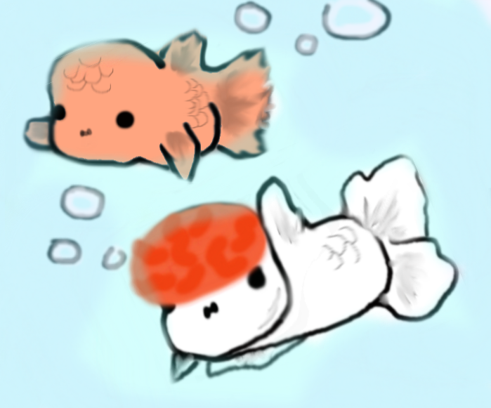 Oranda Goldfish by CasualTay on DeviantArt