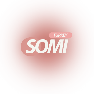 Jeon Somi Turkey Icon by SEUKIJEU on DeviantArt