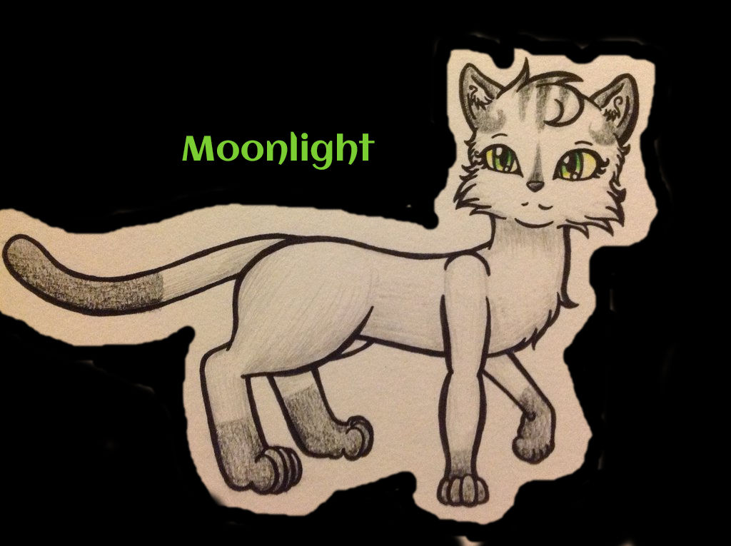 (OLD ART WILL REMAKE) Moonlight ref by Alex-Meraki on DeviantArt