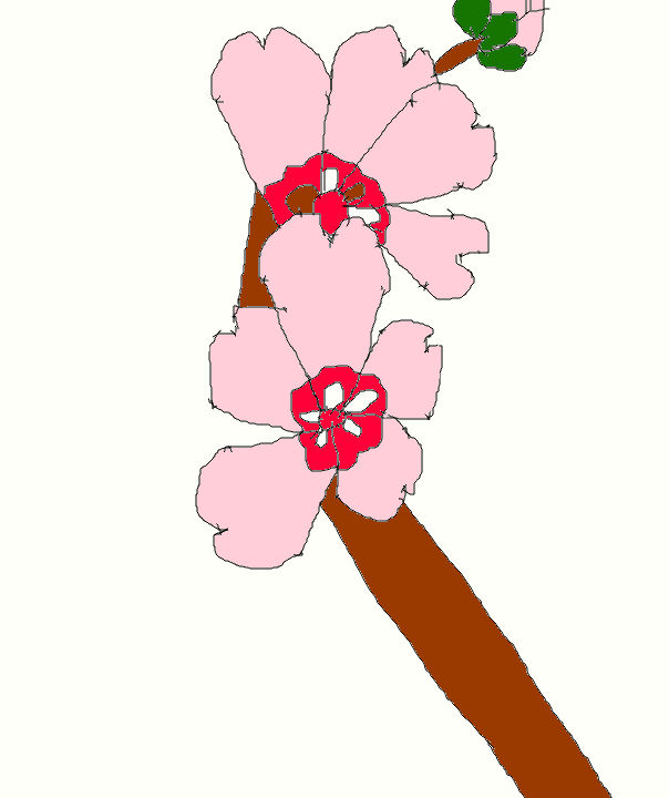 Cherry Blossoms. by rollerbrawl895 on DeviantArt