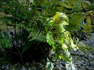 Cloaked Predator stop frame by zpyder on DeviantArt