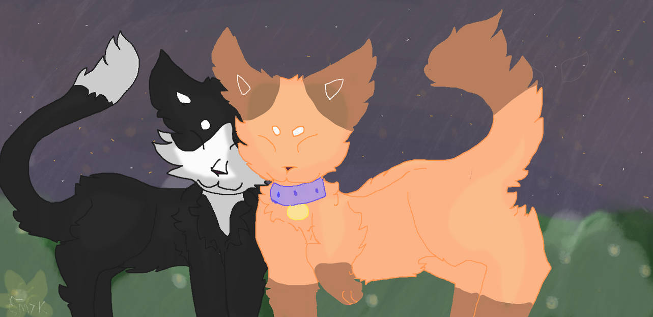 Tallstar x Jake by peritower on DeviantArt