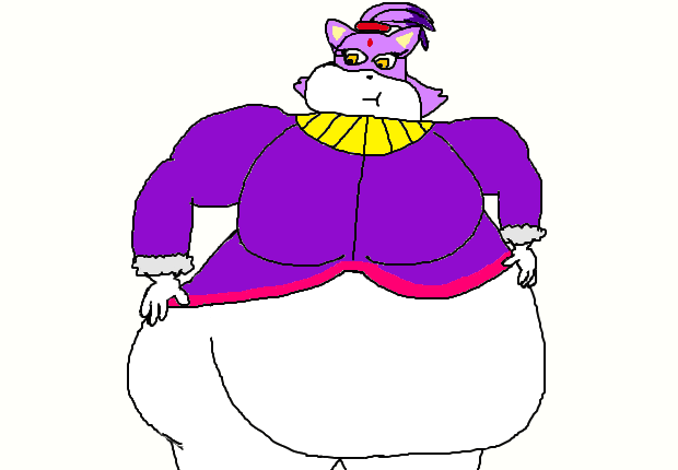 Fat Blaze The Cat