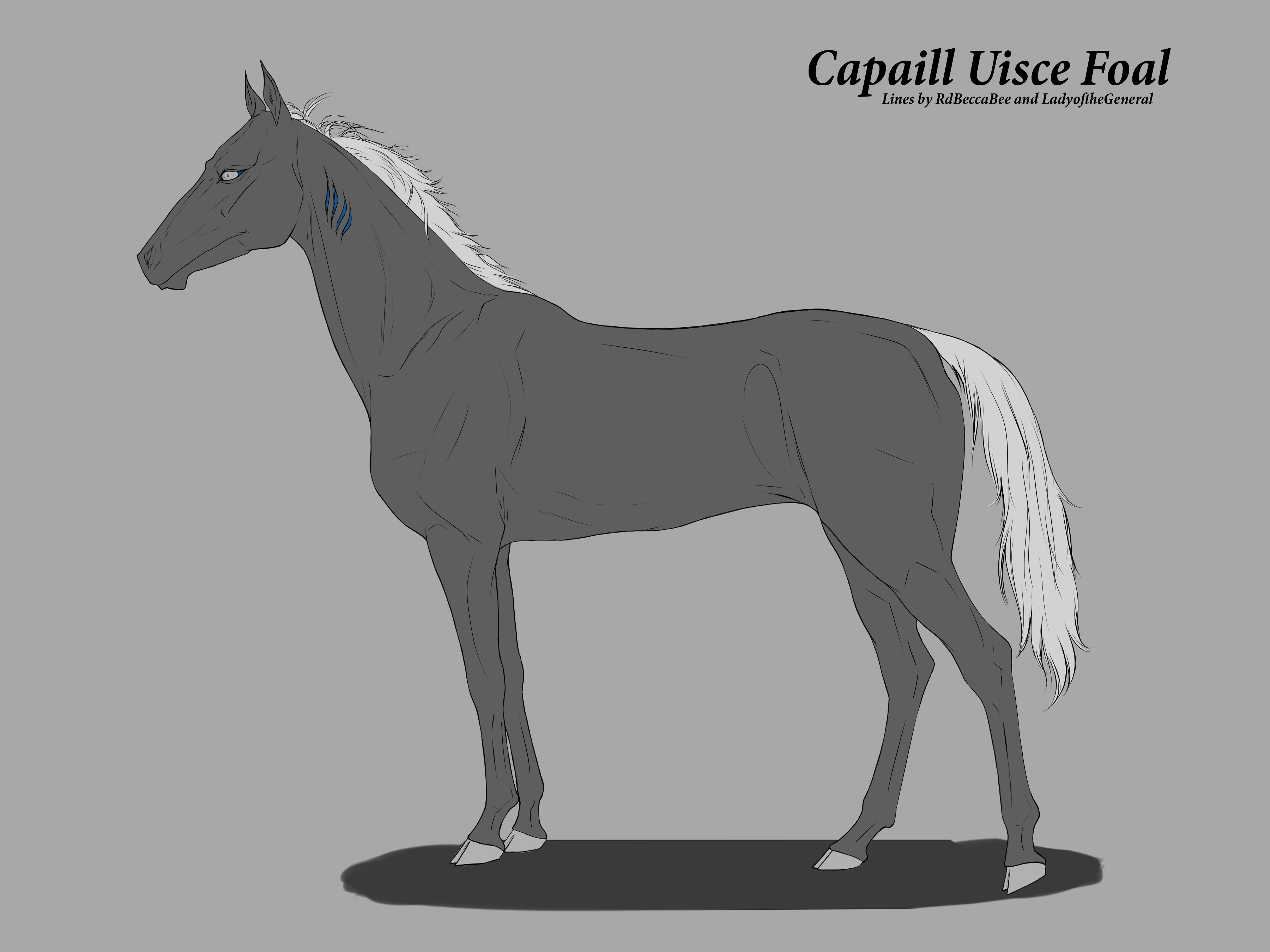 Capaill Uisce Breedsheet by OfDarkestFantasies on DeviantArt