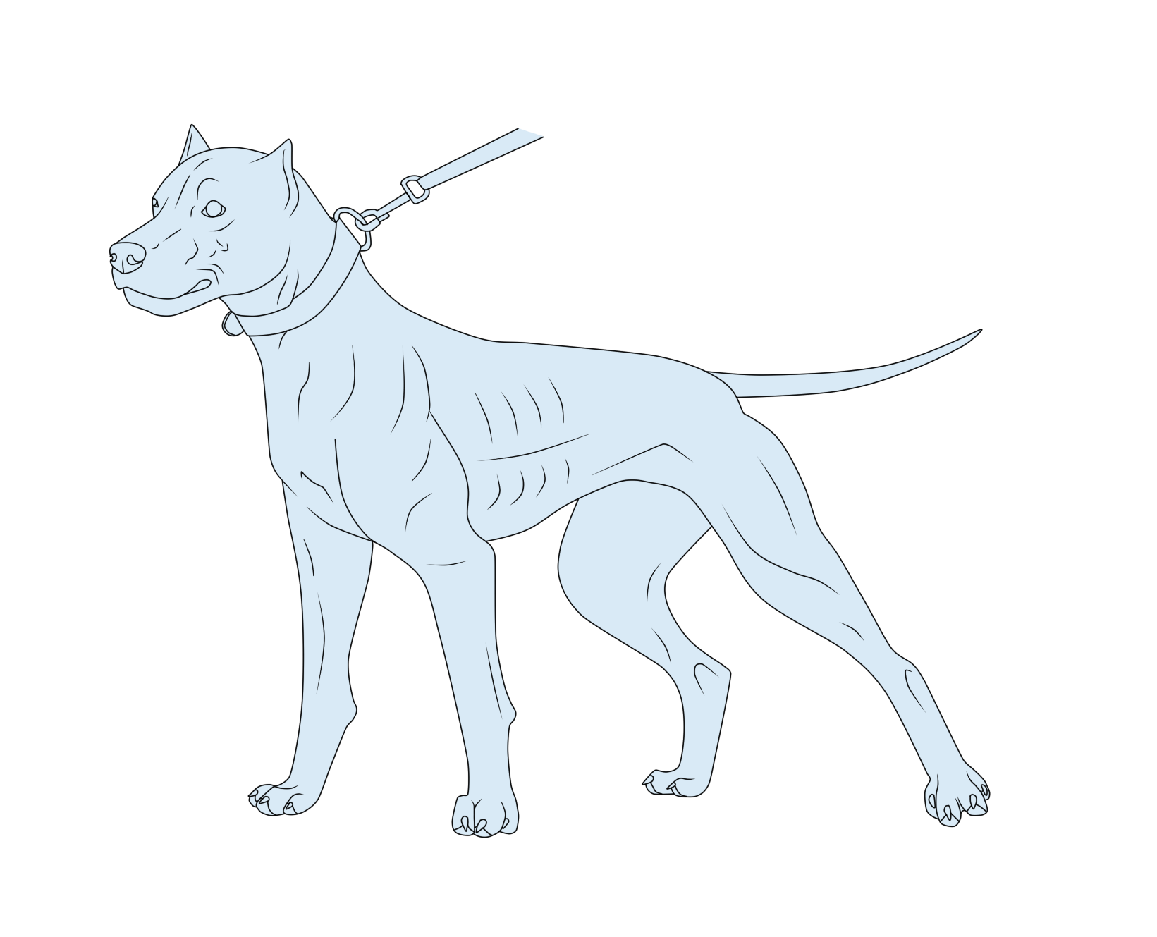 American Pit Bull Terrier Line Art by BrokenMachineYard on DeviantArt