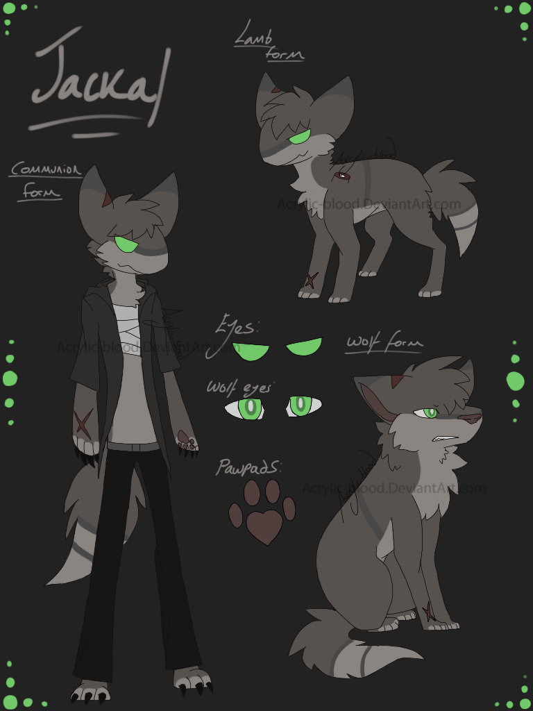 Jackal Ref Sheet by Acrylic-blood on DeviantArt
