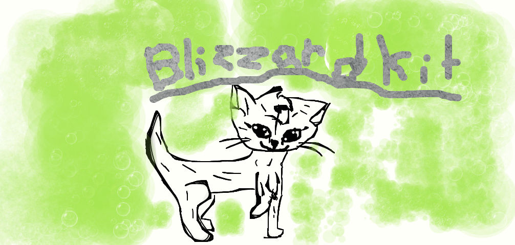 blizzardkit warrior cats by russetstar-lightning on DeviantArt
