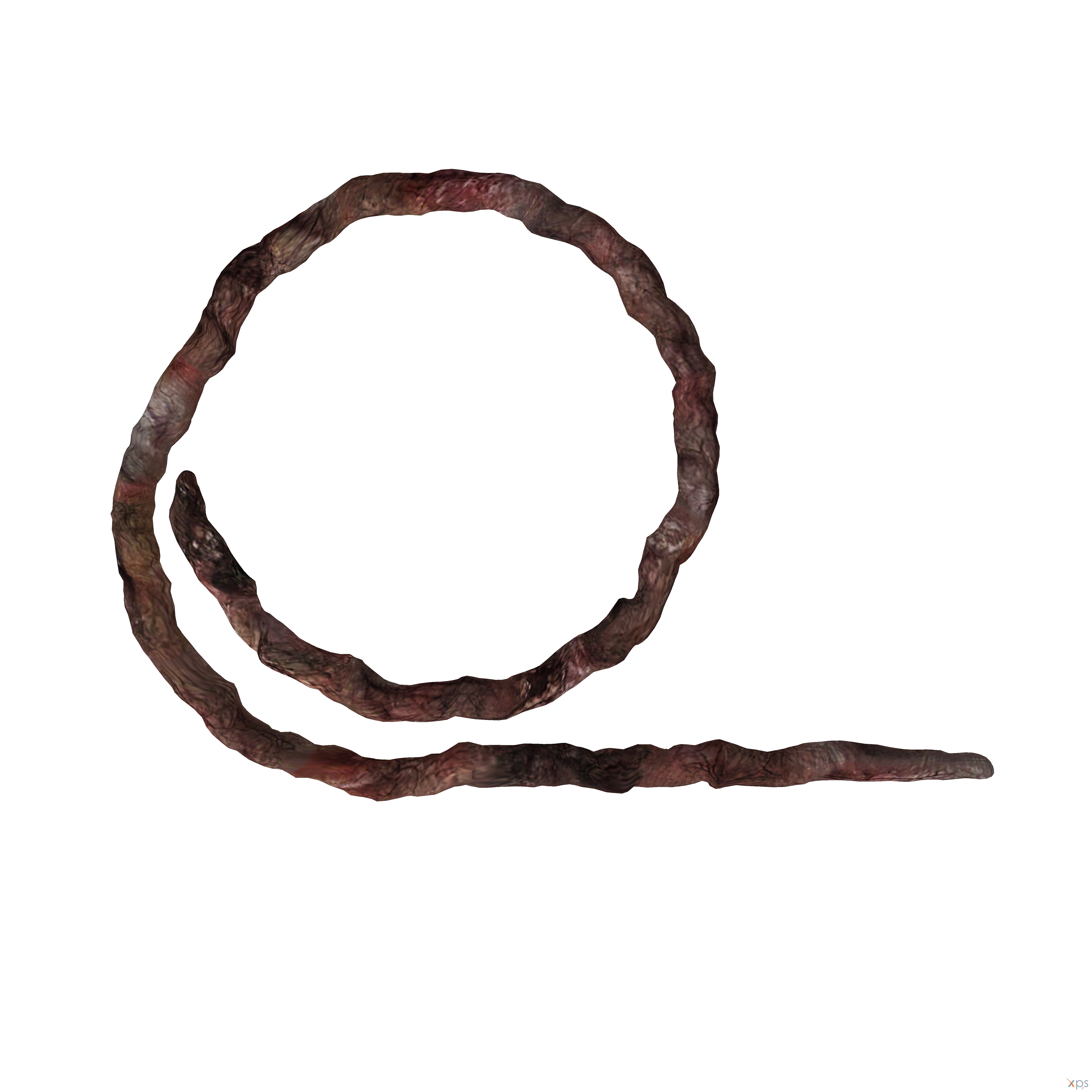 MKX Gore Prop: Intestine for XNALara/XPS by AlexJohnMizyris on DeviantArt