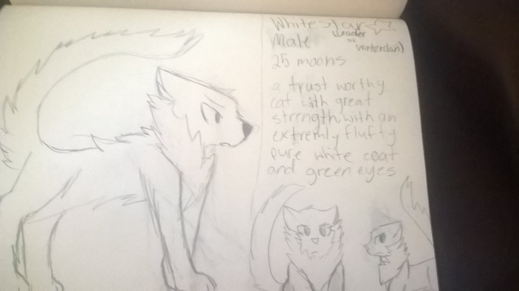 Whitestar icon by Greenwhitetiger on DeviantArt