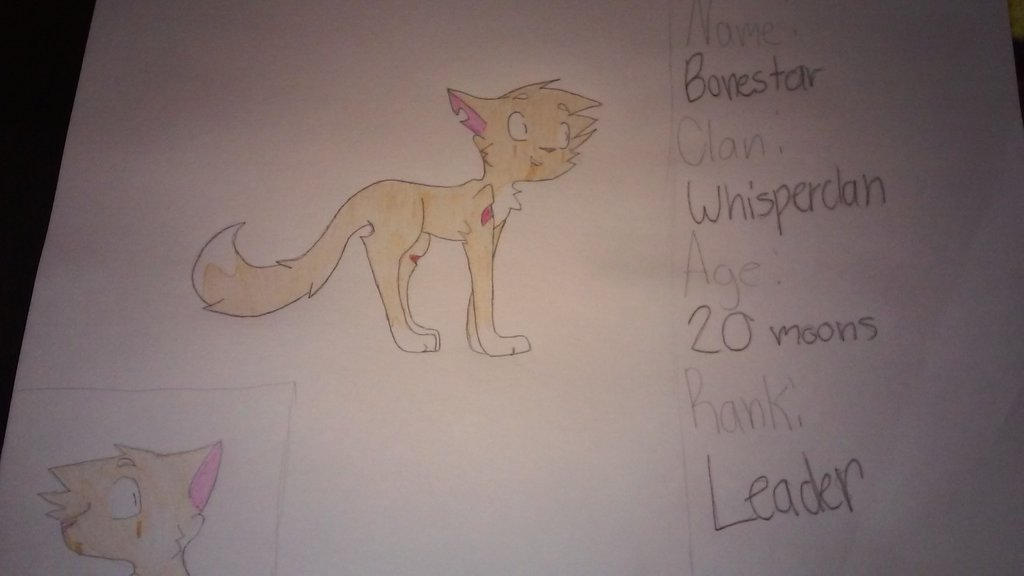Bonestar icon by Greenwhitetiger on DeviantArt