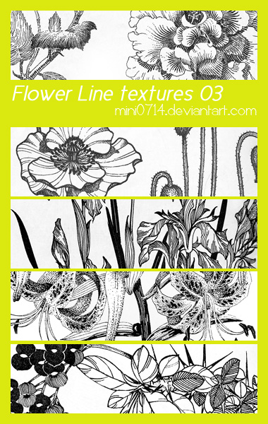 Flower Line textures 03 by mini0714 on DeviantArt