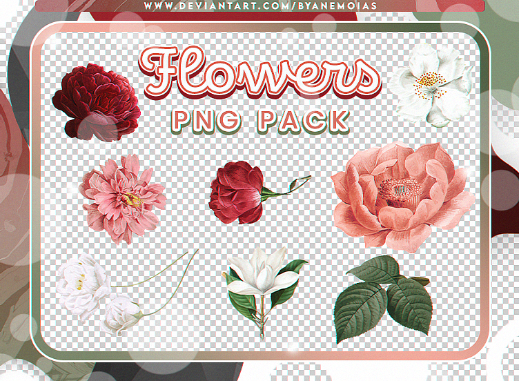 FLOWERS - PNG PACK #7 by Anemoias by byAnemoias on DeviantArt
