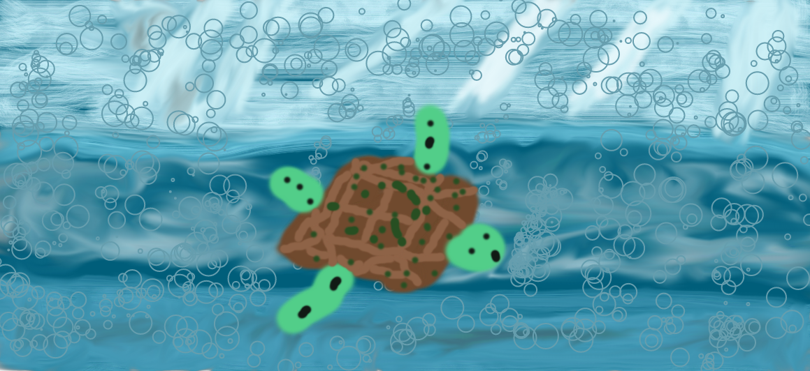 Sea turtle Drawing by MyLittlePonyRocksAnd on DeviantArt