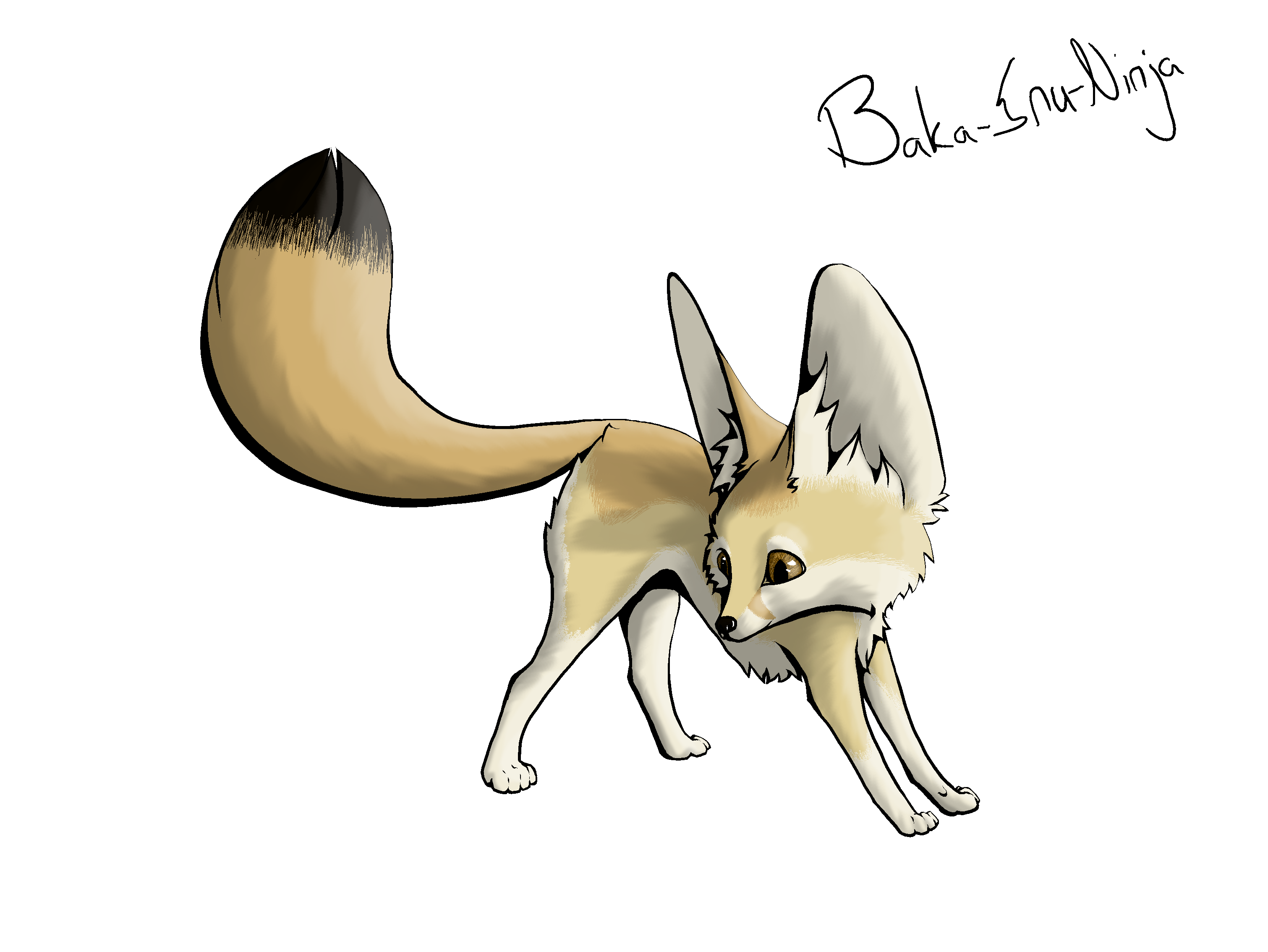 Cute Fennec Fox Drawing