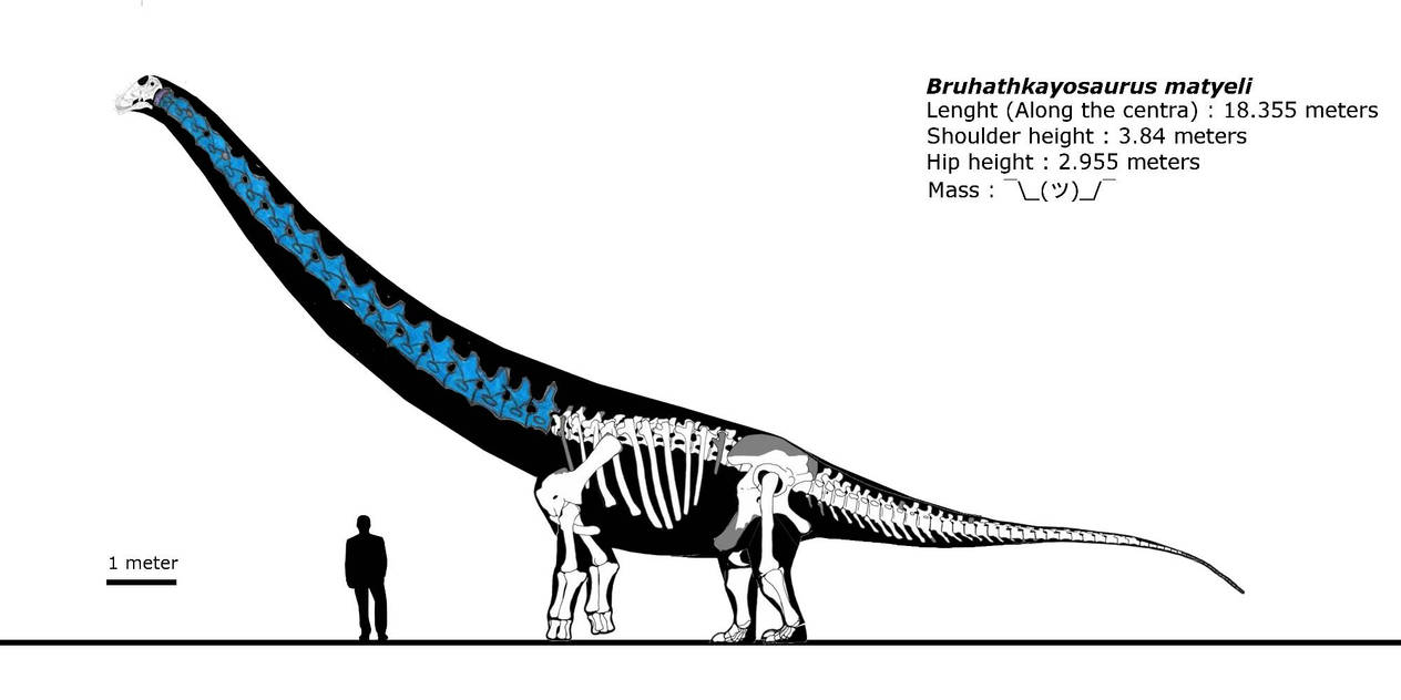 Title by RizkiusMaulanae on DeviantArt
