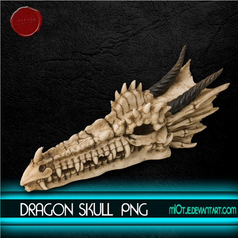 Dragon Skull png HQ by M10tje on DeviantArt