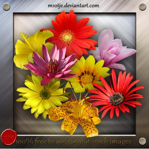 High resolution: Flowers png by M10tje on DeviantArt