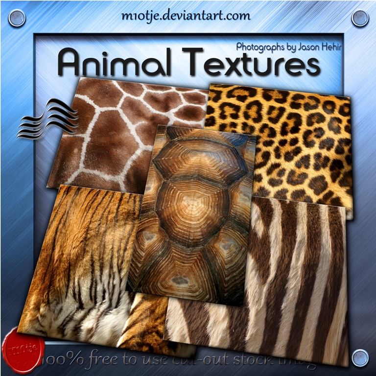 High Reslolution Animal Textures by M10tje on DeviantArt