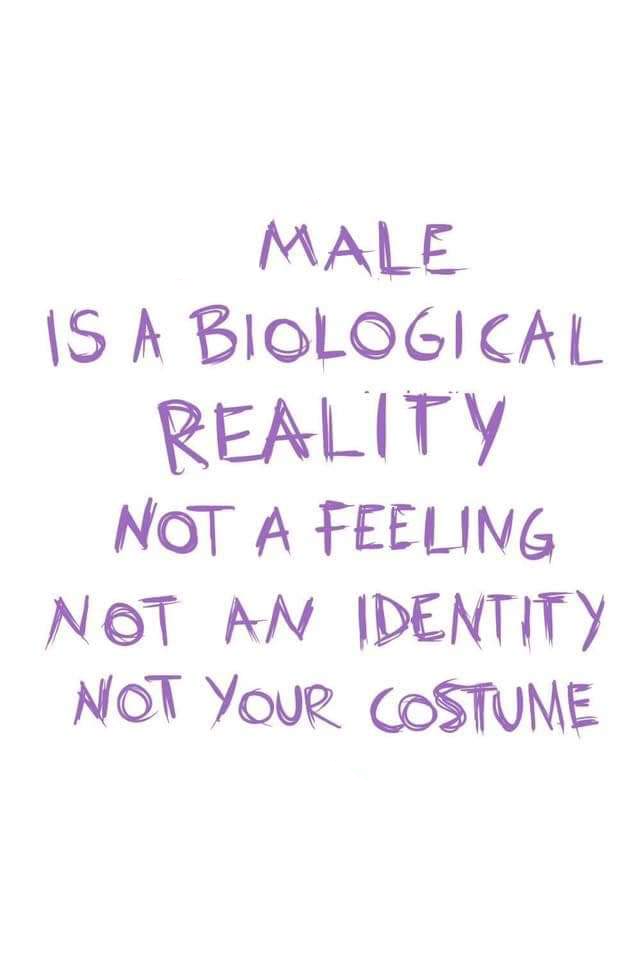 Png Pack 1 Tinytan Debut Photo By Danbaepacks by devotedscraps on DeviantArt