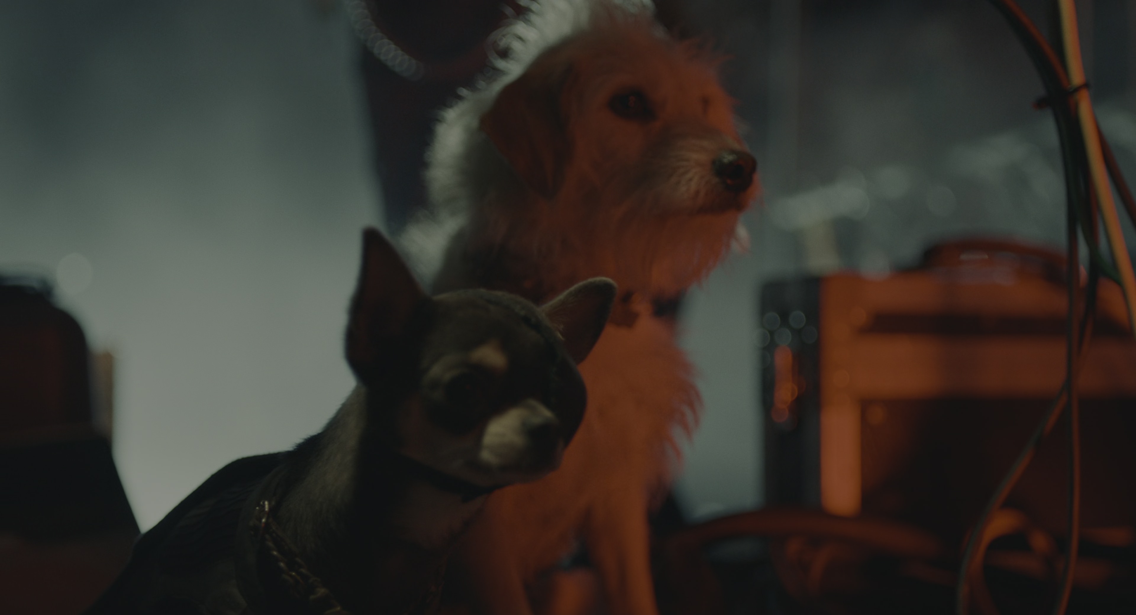 Stuffs That You Shouldn't Toucs by devotedscraps on DeviantArt