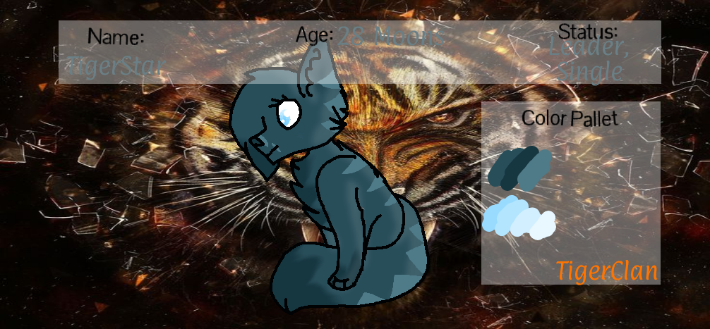 TigerStar Ref Sheet .:TigerClan:. by BlackyDeeCloud on DeviantArt