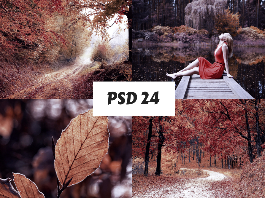 PSD #25 - Autumn by icycolorings by icycolorings on DeviantArt